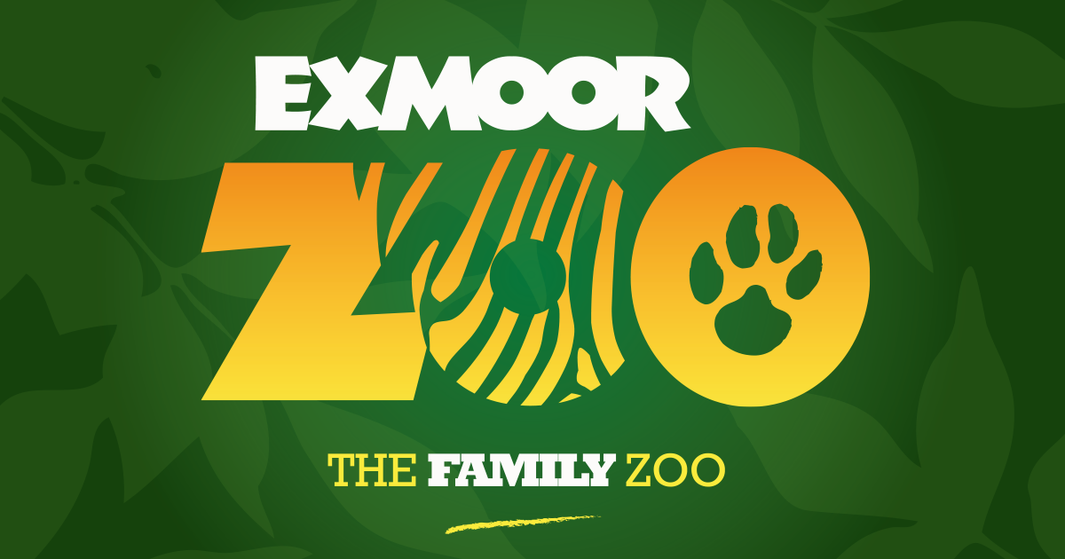 Mount Elliot Leaf-Tailed Gecko | Meet our animals | Exmoor Zoo